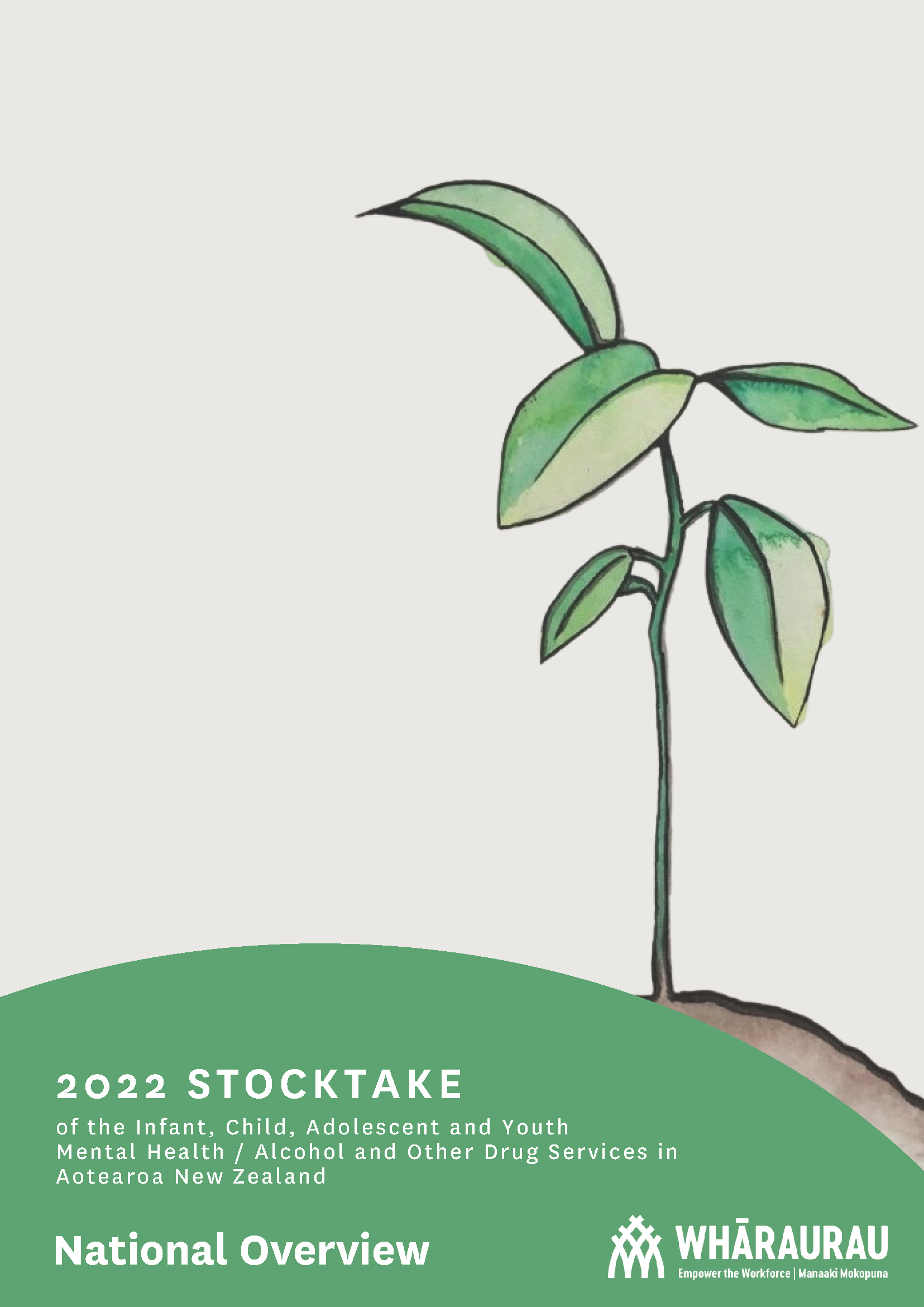 Mana ake | Kia ora ake school initiative